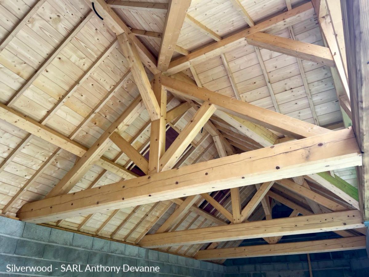 Volige mi-bois Sapin blanc du Nord Preserve Elégie carrée 1 face ...