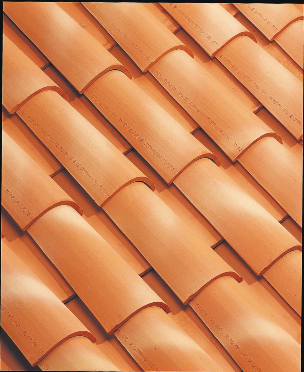 Tuile chatière Canal 406.21 terre cuite Saintonge section 21 cm² teinte ...