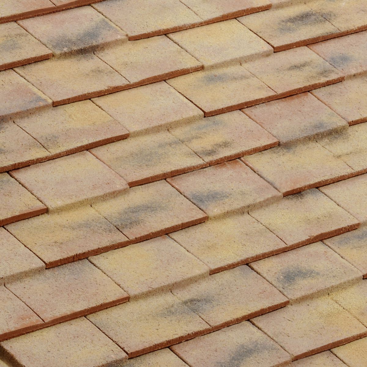 Tuile neoplate Terre de Beauce teinte 098 EDILIANS - EDILIANS