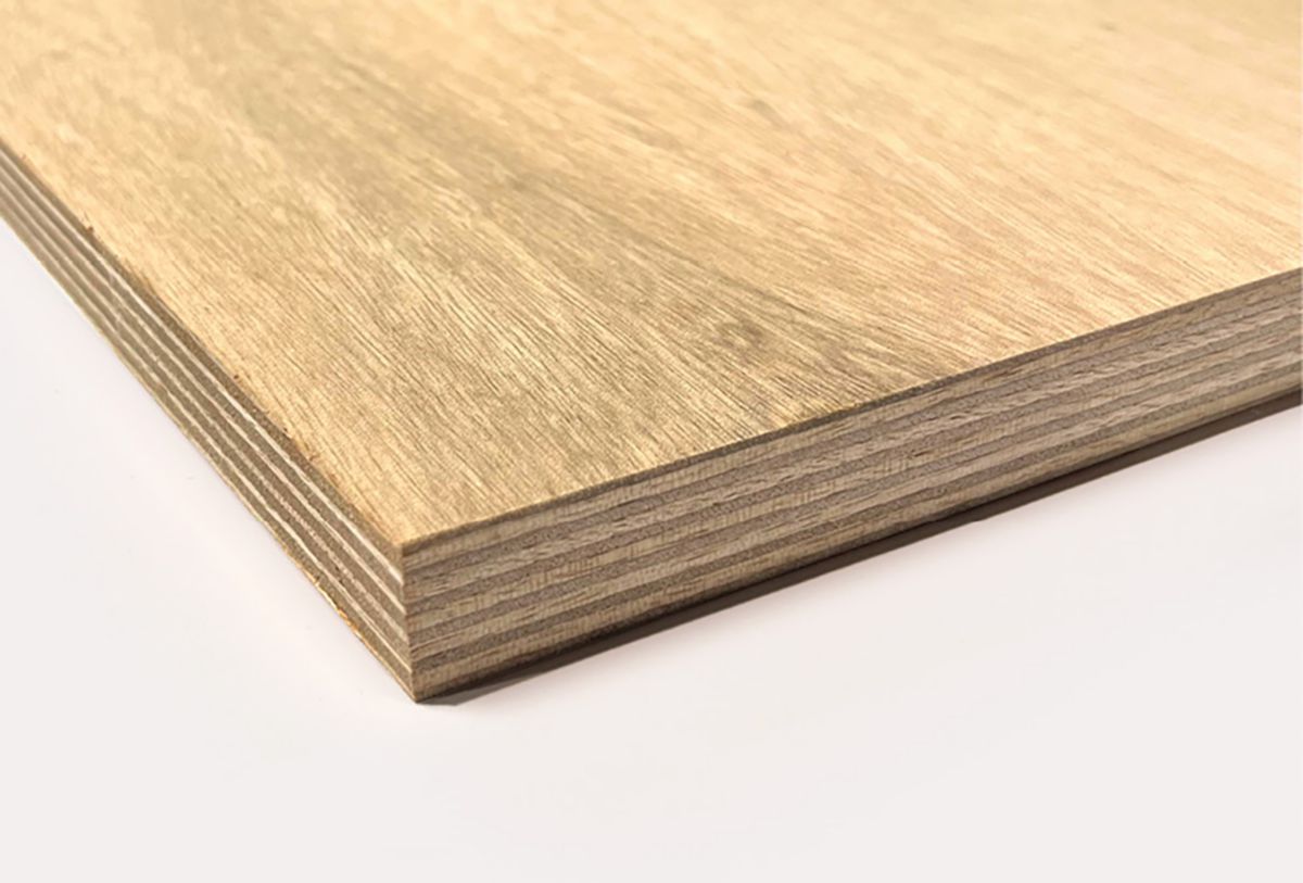 Contreplaqué Plex Tout Ozigo - collage classe 3 - Milieu humide abrité ...