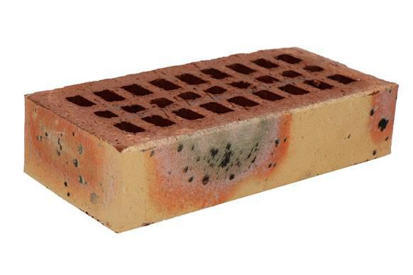 Brique perforée léopard 21,5 x 10,25 x 5 cm Réf. 4171722 - TERCA